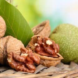 The Great Wide World of Walnuts • Martindale’s Natural Market
